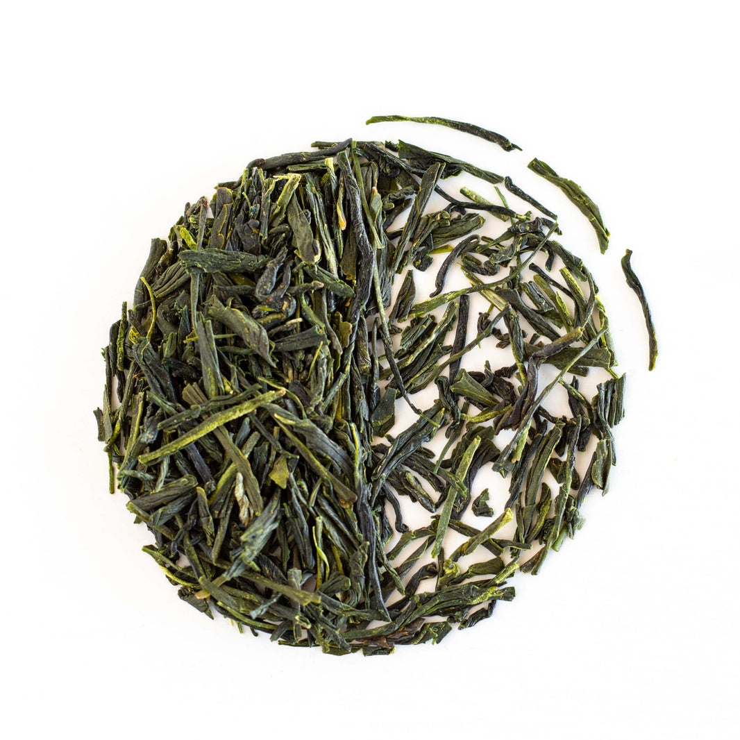 What is Green Tea? Types, Origins, and How to Brew – ArtfulTea
